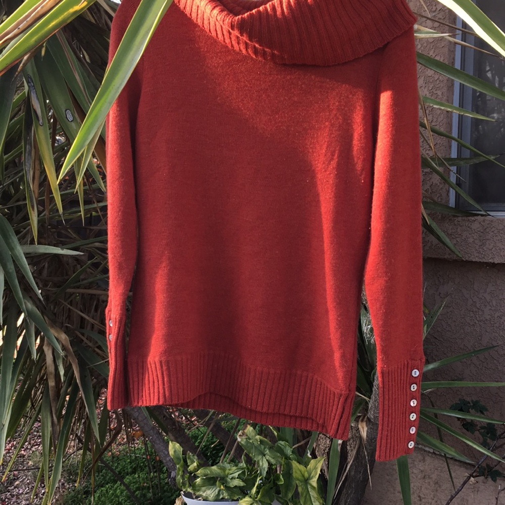 Tweeds Sweater 100% Italian Wool Sweater - Gem